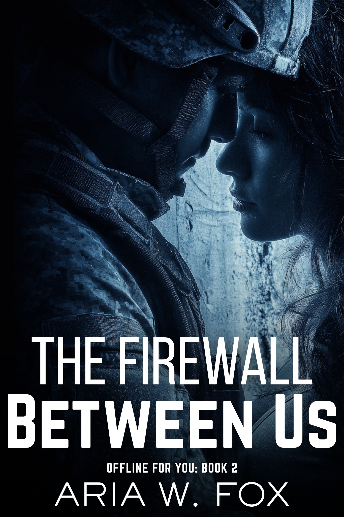 The Firewall Between us – House of King Author Collective